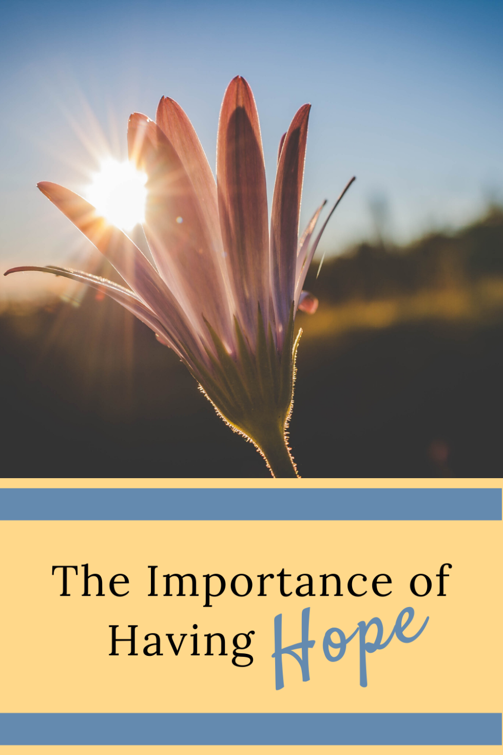 The Importance Of Having Hope - Motivated Mom