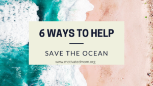 6 Ways To Help Save The Oceans - Motivated Mom