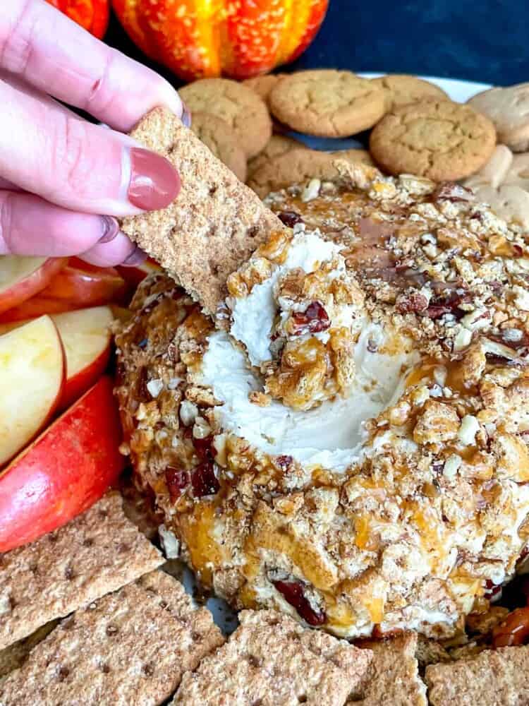 The Best Sweet Cheese Ball Recipes - Motivated Mom
